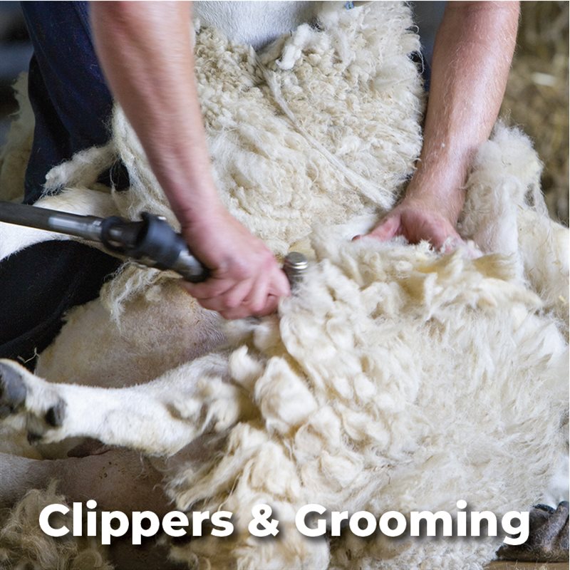 Clippers & Grooming