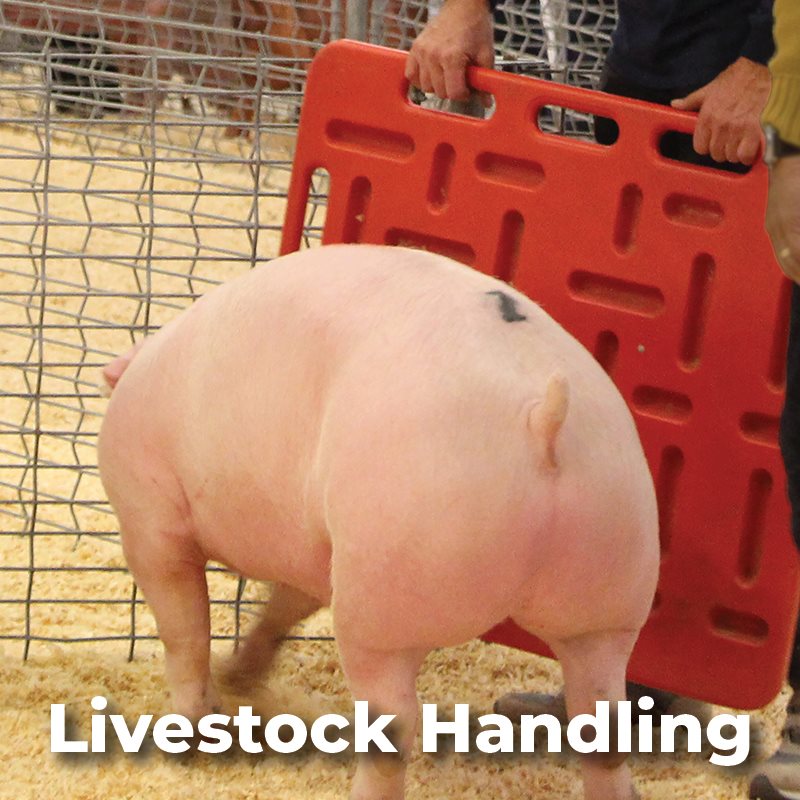 Livestock Handling
