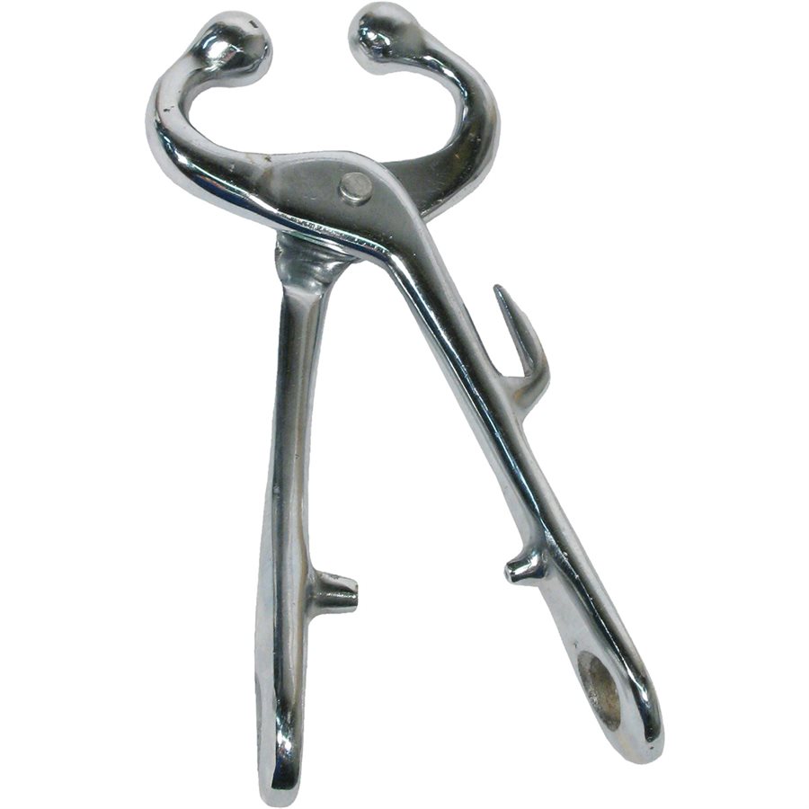 Halters & Nose Rings