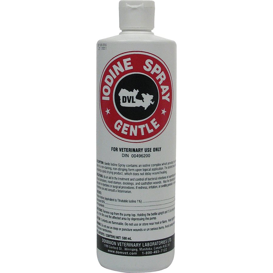 IODINE SPRAY (500 ML)