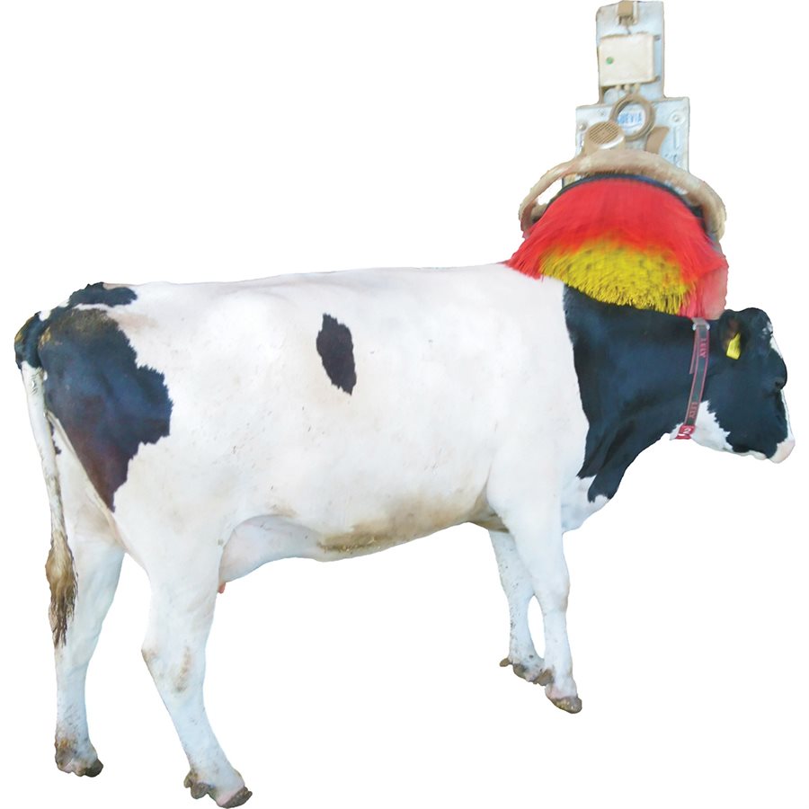 EASYCLEANER COW BRUSH