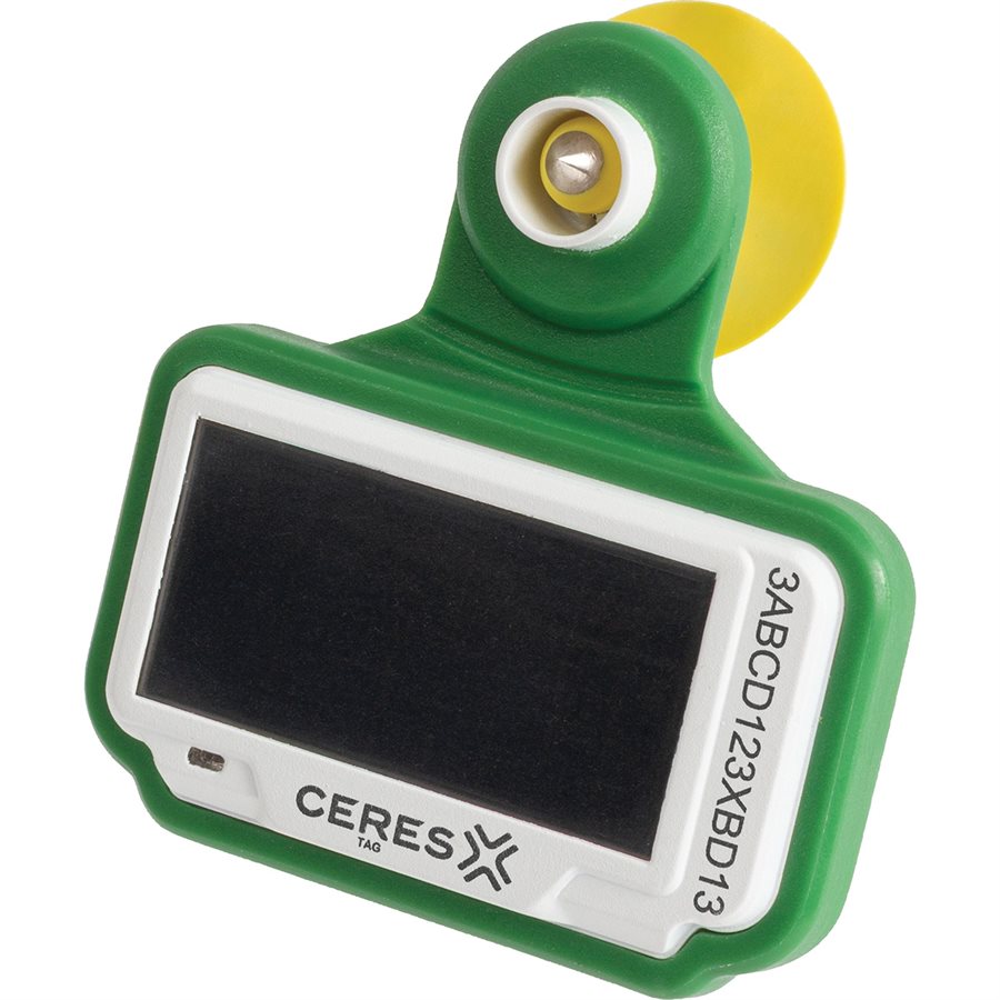 CERES RANCHER TAG, MALE, 100/PKG