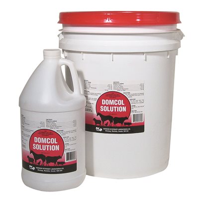 DOMCOL SOLUTION (4 L)